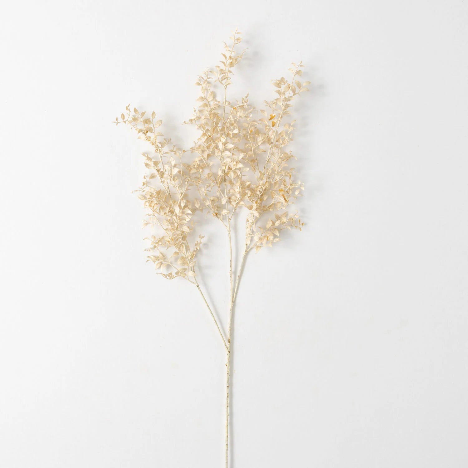 SMILAX SPRAY - CREAM – Prairiegrass